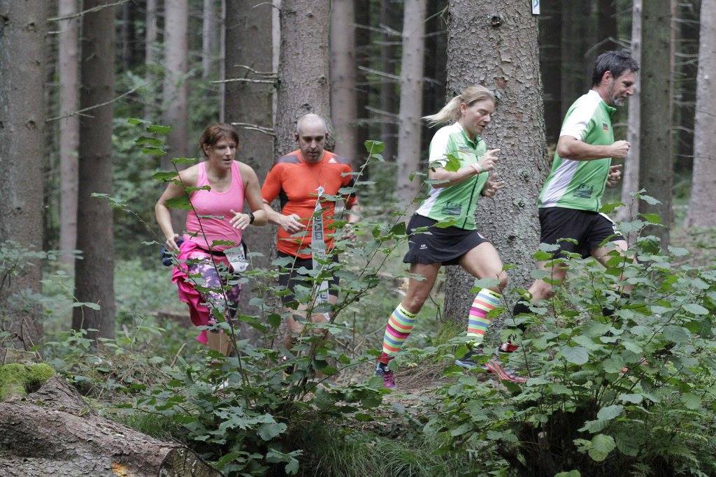 Gallery | hartfüssler Trail e.V.